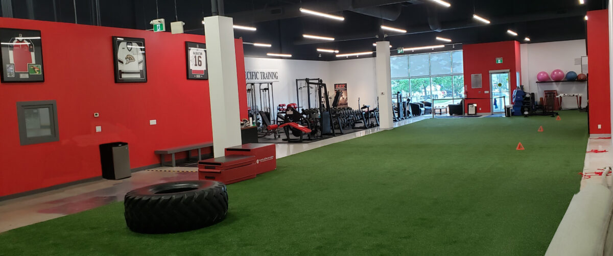 sstb-turf-back – Blog Home