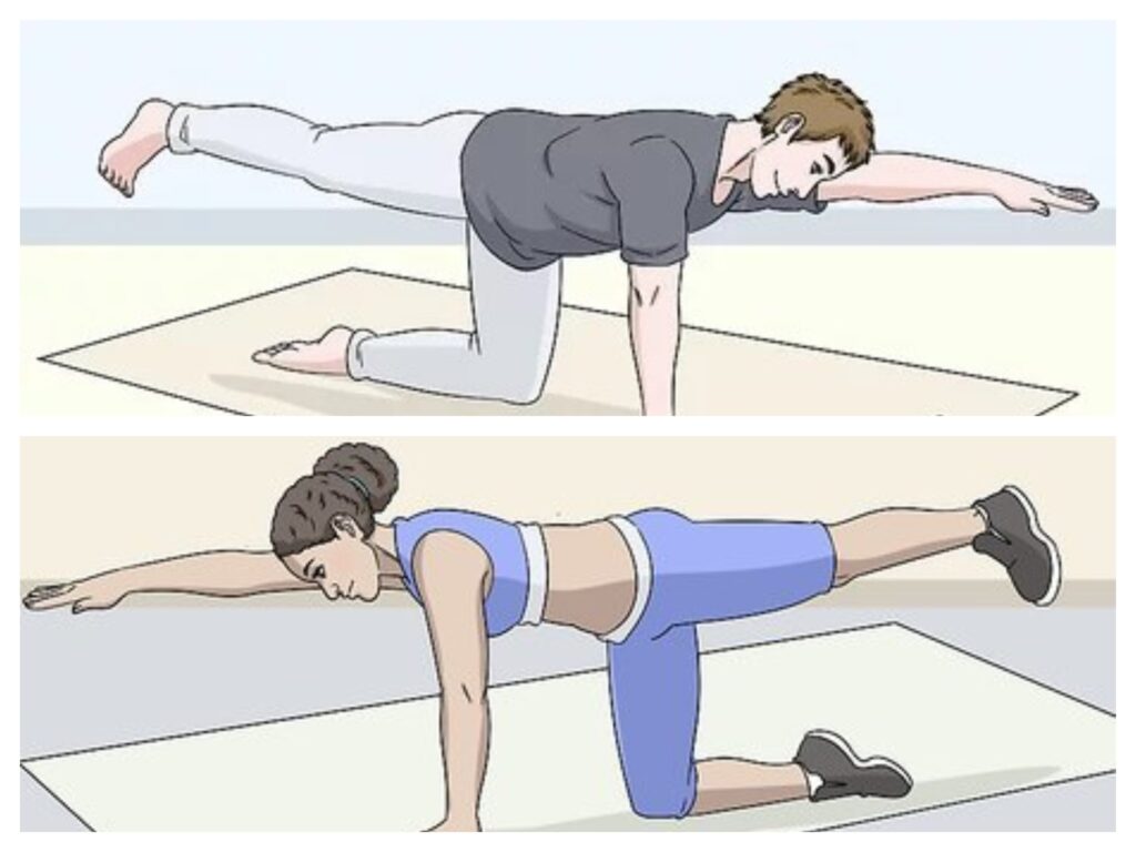 Core Stability – What you need to know. – Blog Home