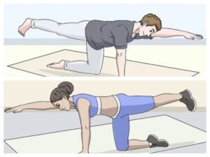 Core Stability – What you need to know. – Blog Home